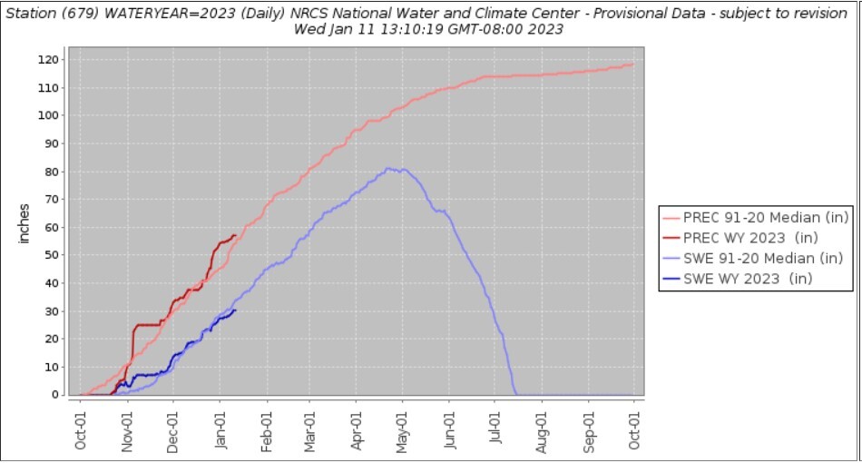 Rainier early season