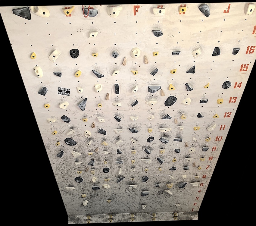 SOLD: MOONBOARD - 2016 Set with LED's