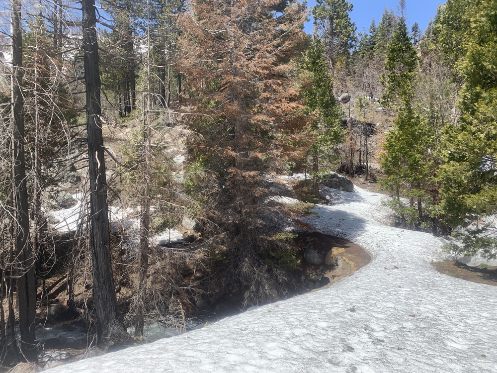 Wright's Lake Rd status.