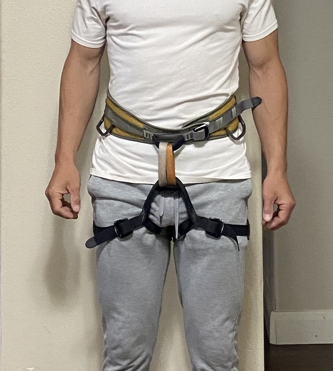 FS: Z4s, Litewires, and Big Guns Harness