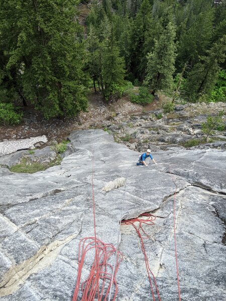 Jacob Leonard following on the FA